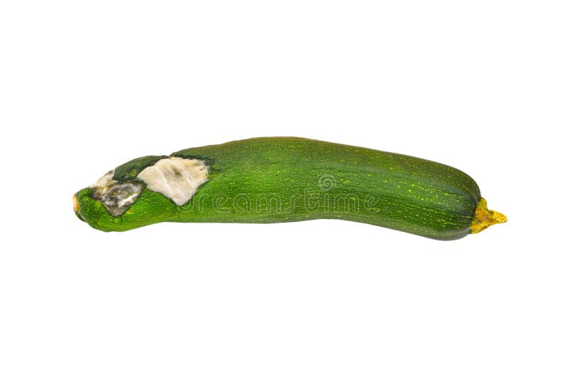 Can Zucchini Go Bad