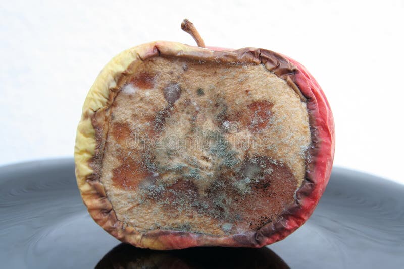 Moldy Apple. Bad Apple. Bad Fruit. Rotten Fruit. Rotten Apple Stock ...