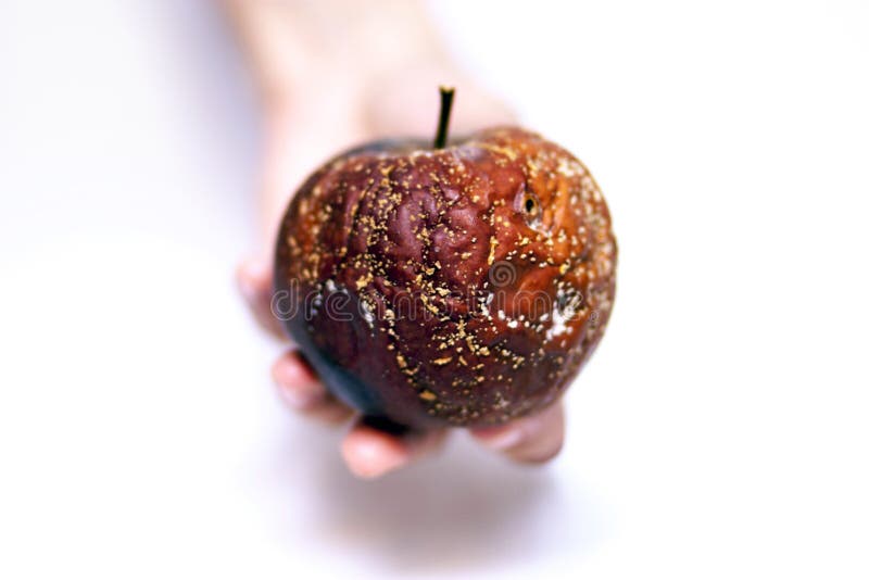947 Moldy Apple Stock Photos - Free & Royalty-Free Stock Photos from ...