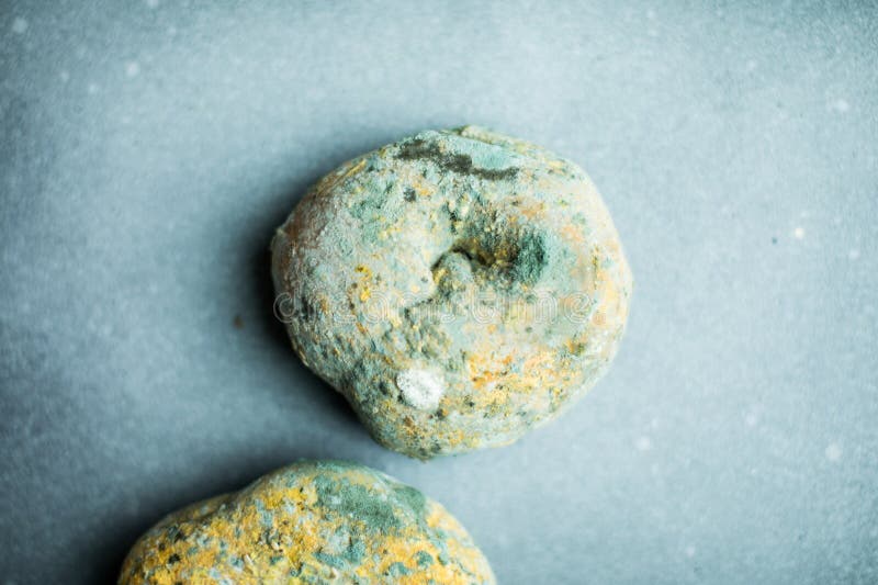 Moldy Bagel Bread. Spoiled Bakery Products Stock Image - Image of ...