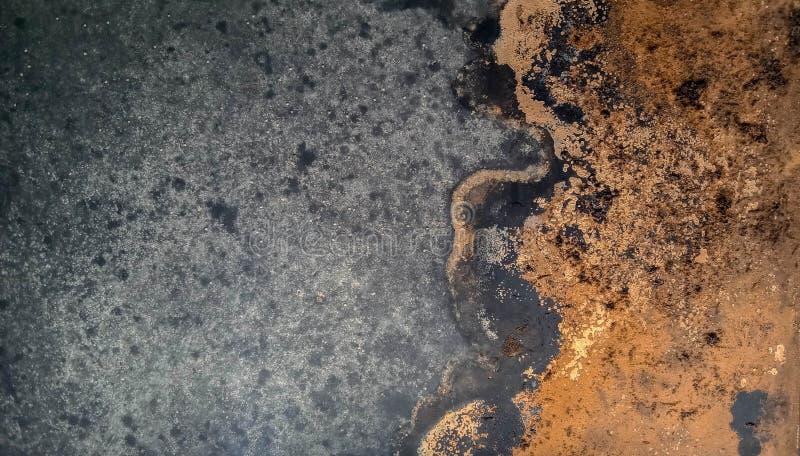 Moldy on Blackboard Abstract Stains Mold Background Stock Image - Image ...