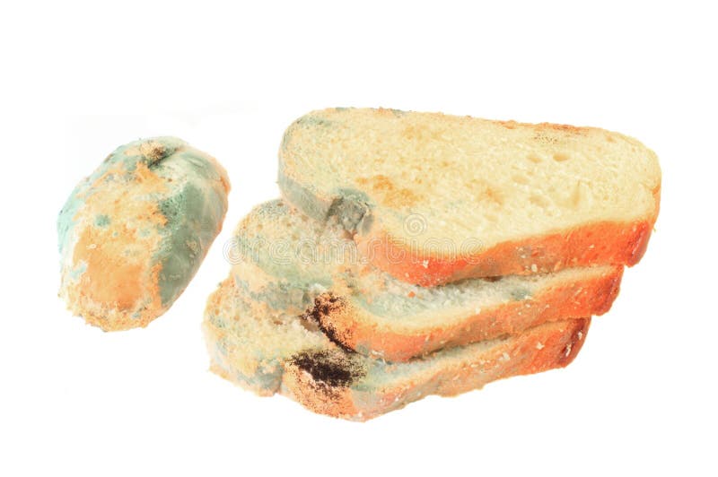 Moldy bread stock image. Image of poor, spoil, molding - 13410935
