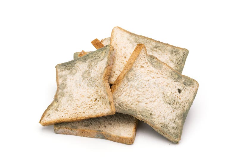 Moldy Bread Expired Bread Isolated on White Stock Photo - Image of ...