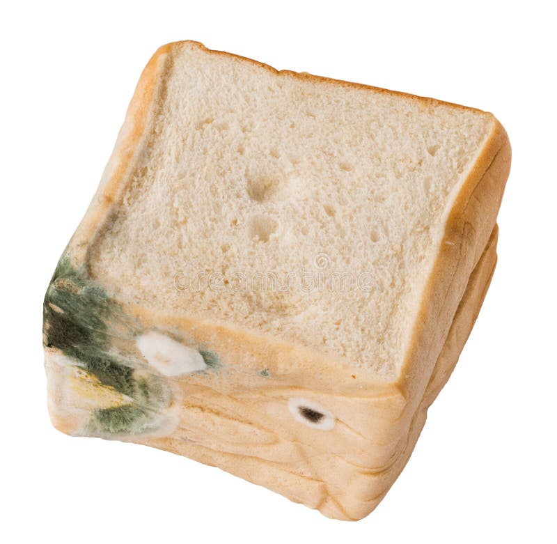 Moldy bread. Isolated stock photo. Image of stale, fungus - 17459938