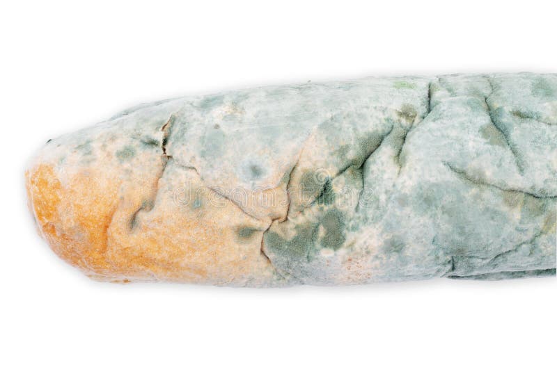 Moldy Bread Isolated on White Background Stock Image - Image of moldy ...