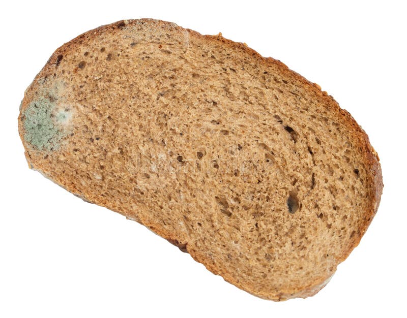Moldy Bread. Isolated on White Background Stock Photo - Image of color ...