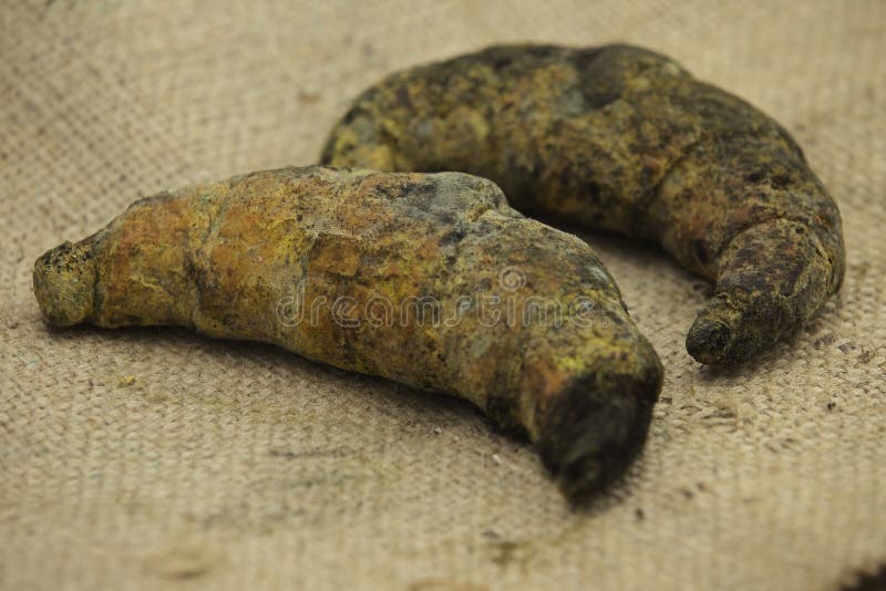 Moldy bread stock photo. Image of healthy, moldiness - 60887592