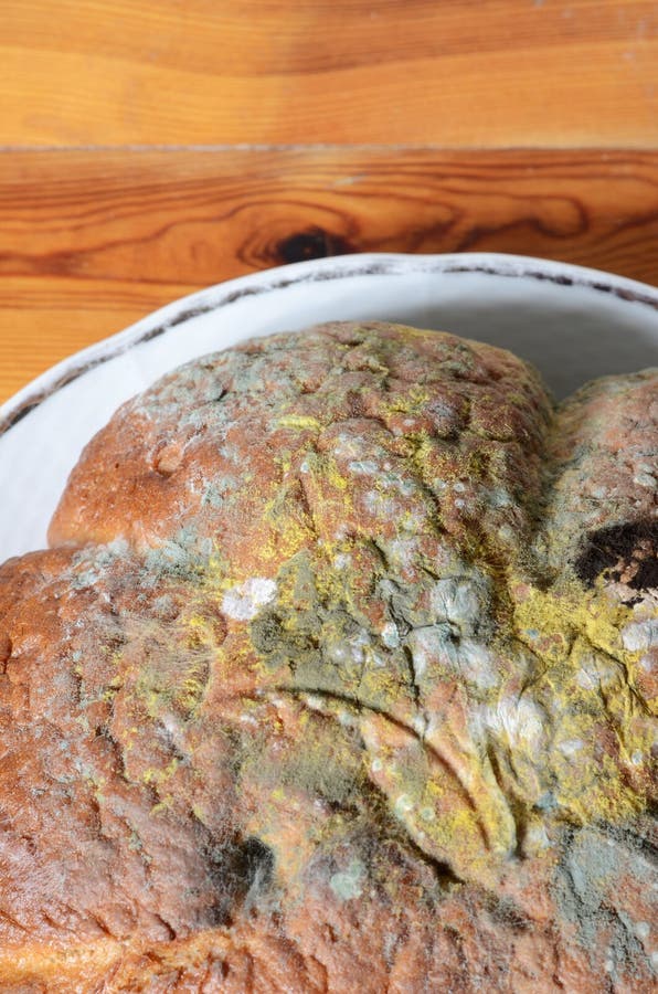 Moldy bread stock image. Image of table, unhygienic, food - 45288347