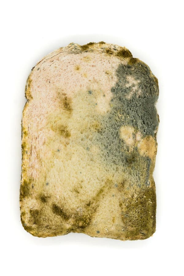 Slice of moldy bread stock photo. Image of contaminated - 20070104