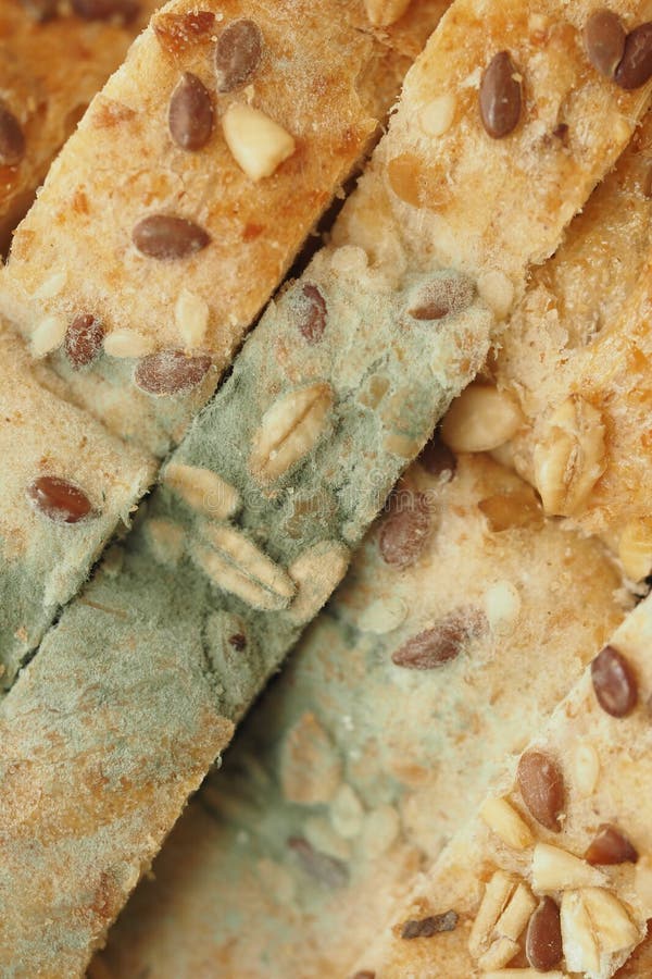 Moldy Bread Sticks with Various Seeds and Nuts Displayed Close Up Stock ...