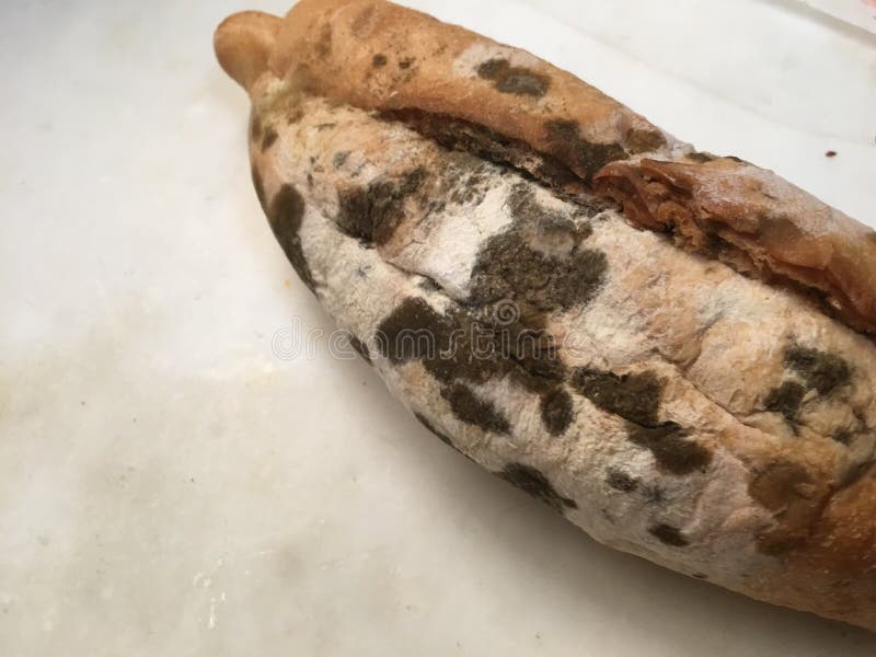 Moldy bread stock image. Image of macro, germs, bakery - 95390653