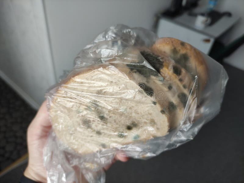 Moldy Bread in a Transparent Bag in Hand. Mold on a Bread Stock Photo ...