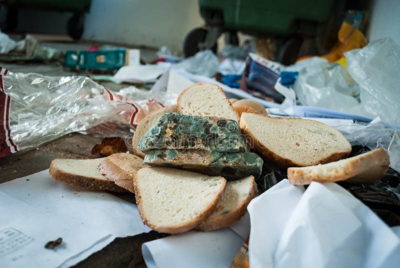 Wasted Bread, Tossing Breads and Buying Too Much Bread in Vain, Stale ...