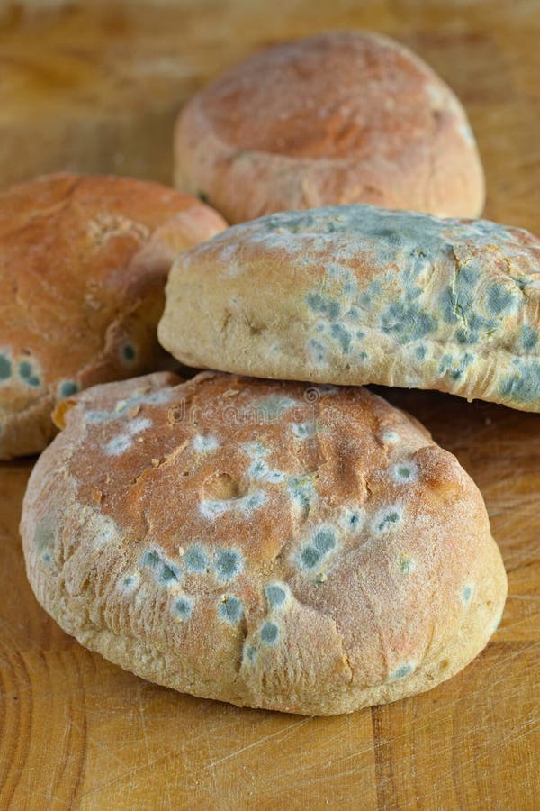 Moldy Bread Rolls stock image. Image of ruined, mildew - 9865059