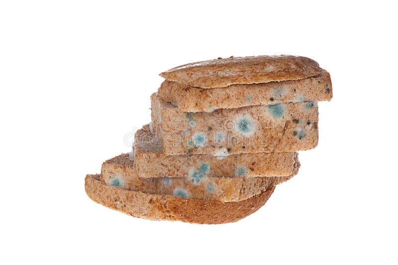 Moldy bread. Isolated stock photo. Image of stale, fungus - 17459938