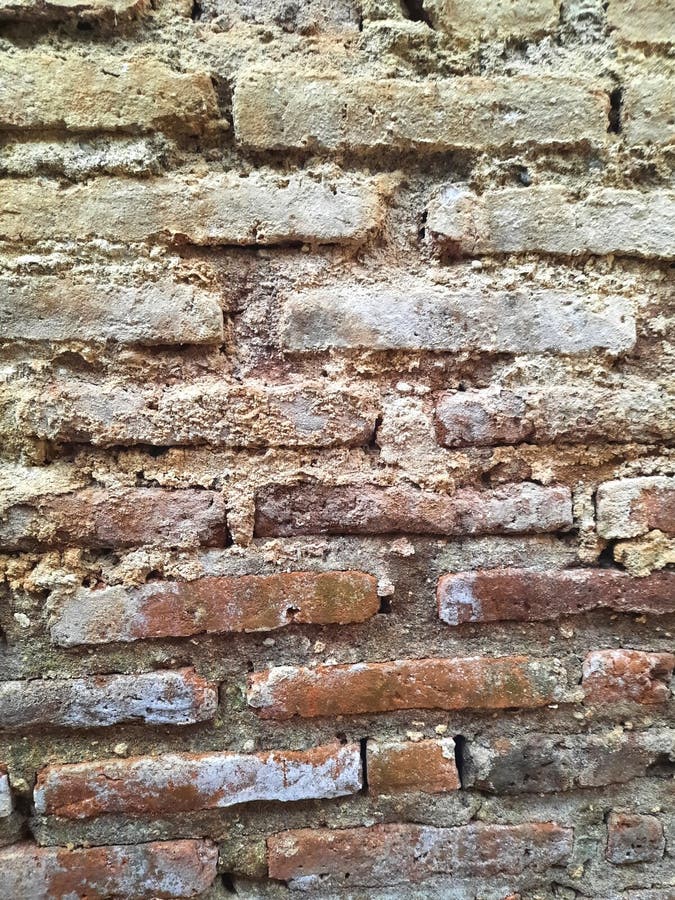 Moldy bricks wall stock photo. Image of brown, wall - 206433994
