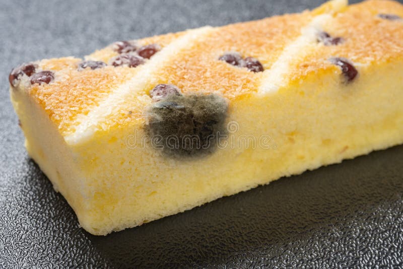 297 Rotten Cake Stock Photos - Free & Royalty-Free Stock Photos from ...