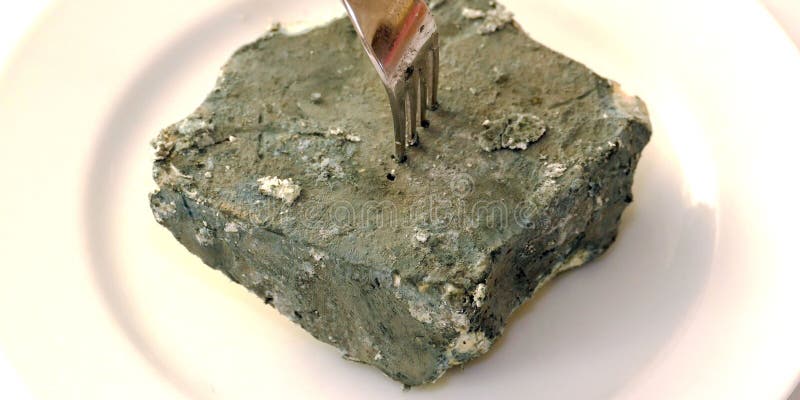 Moldy Cheese Benefits for Human Health Stock Image - Image of harms ...