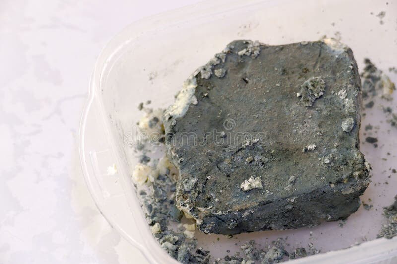 Moldy Cheese in a Plate, Moldy Green Cheese Stock Photo - Image of ...