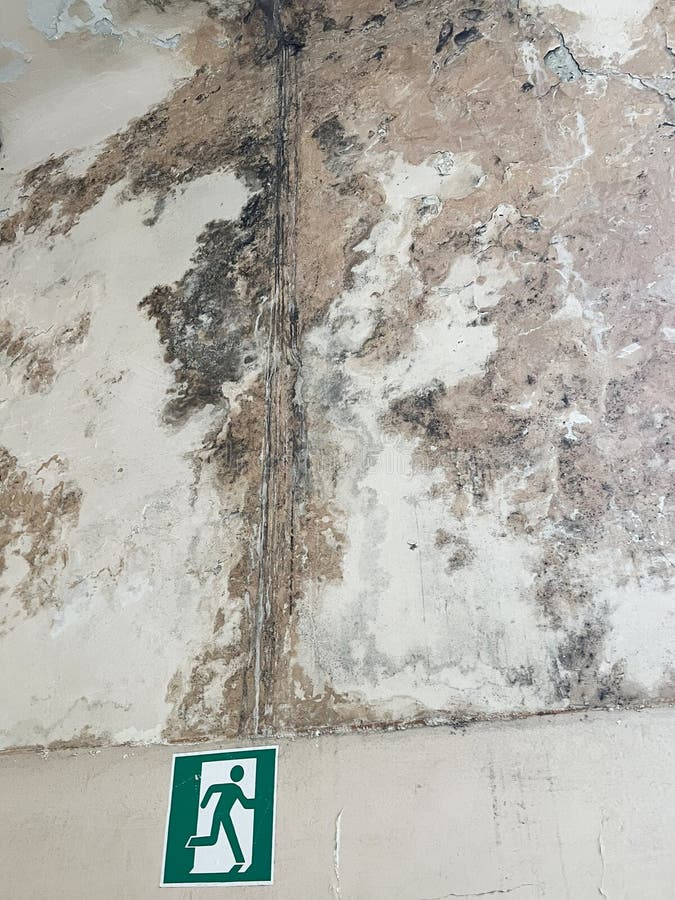Moldy Concrete Wall Surface with Signs of Water Damage and a Caution ...