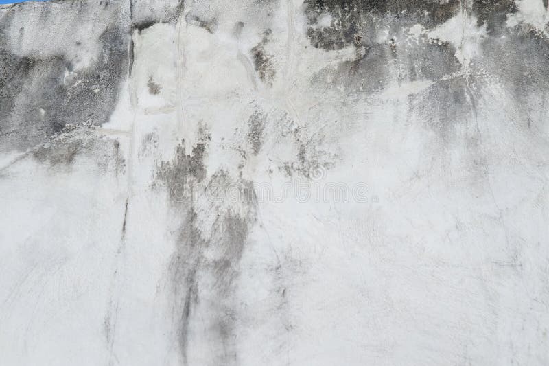 Moldy Concrete Wall Texture Close-up Stock Photo - Image of close ...