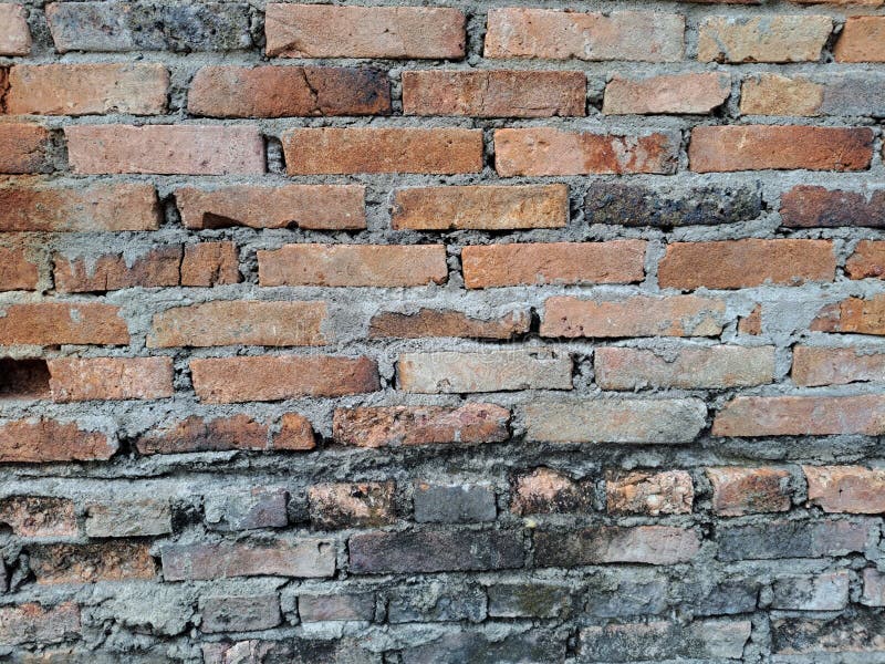 1,068 Moldy Floor Stock Photos - Free & Royalty-Free Stock Photos from ...