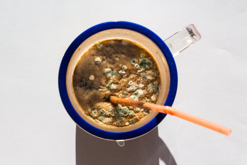 Moldy Drink stock image. Image of mould, decomposition - 36933829