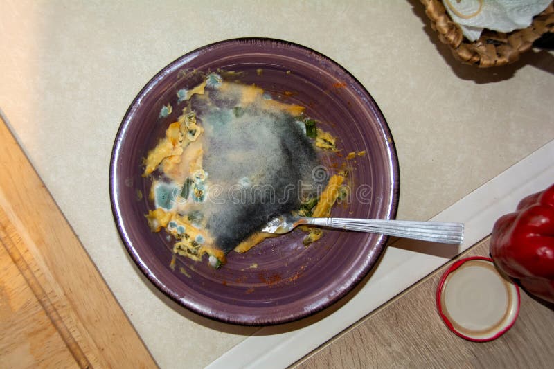 Moldy food on a plate stock image. Image of mildew, dangerous - 279448413