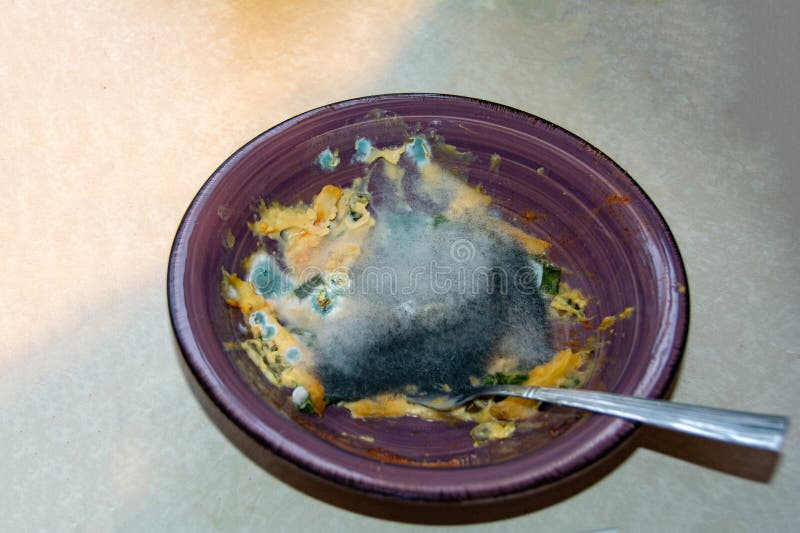 Moldy food on a plate stock photo. Image of plate, spoiled - 282593064