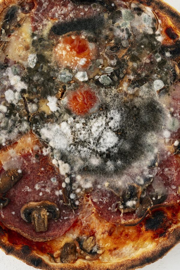 Moldy Food, Spoiled Pizza, Expired Pizza, Macro, Stock Image - Image of ...