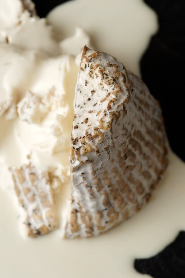 Moldy goat cheese stock image. Image of aged, mold, crust - 66214471