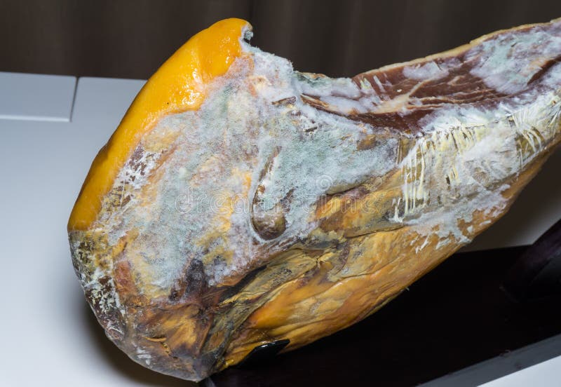 Moldy Ham Hamon Dangerous Food Stock Image - Image of blue, white: 68476743