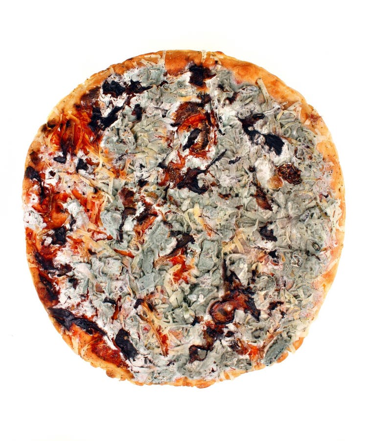 Moldy pizza stock image. Image of food, rotten, organism - 72668877
