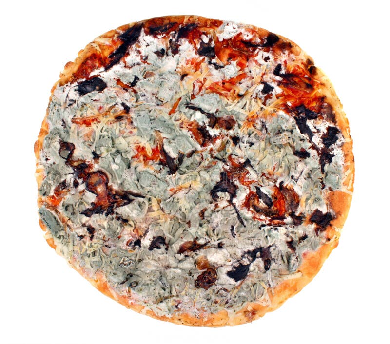 Moldy pizza stock image. Image of fungus, damaged, biological - 72670301