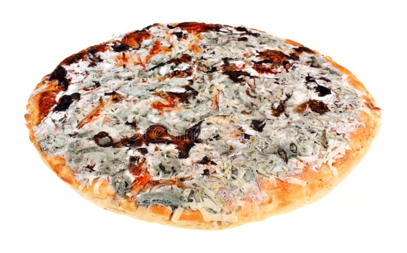 Moldy pizza stock image. Image of food, rotten, organism - 72668877
