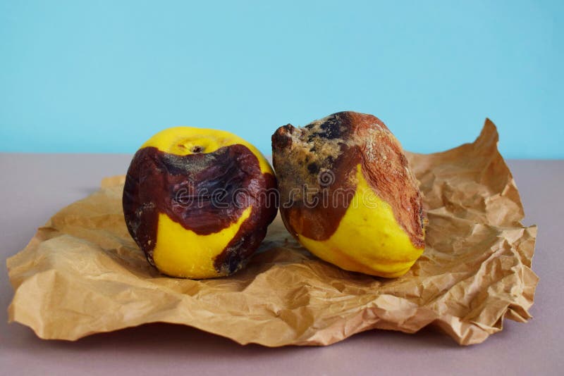 Quince Brown Rot Treatment Stock Photos - Free & Royalty-Free Stock ...