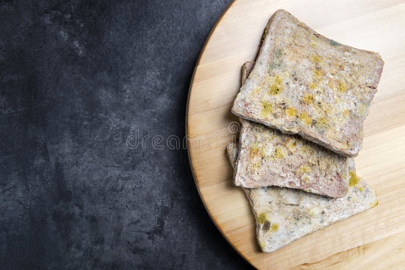 Moldy Slice of Bread on the Board Stock Photo - Image of mildew, molded ...