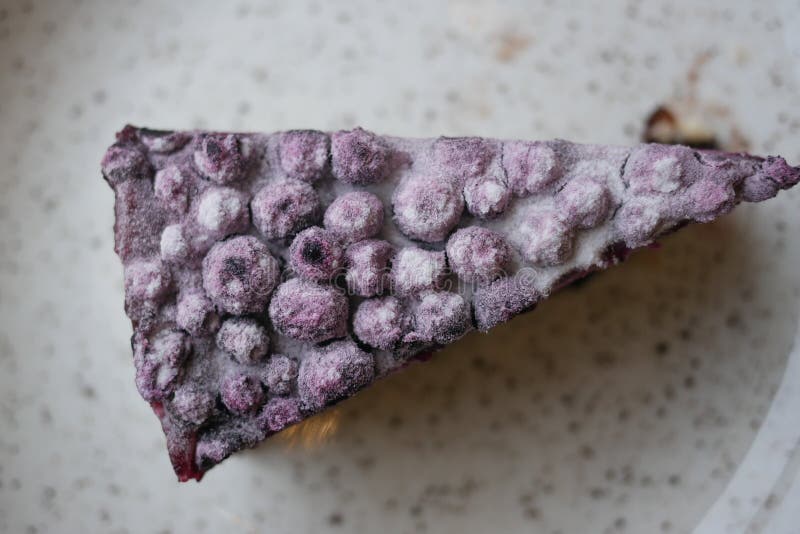 Moldy Slice of Cake on a Light Speckled Surface Stock Image - Image of ...