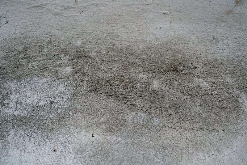 Moldy Stone Wall through Damp Walls Structure Photographed in Daylight ...