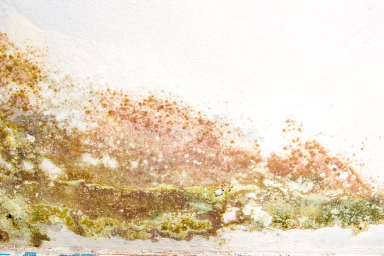 Moldy wall stock photo. Image of humidity, dirty, abandonment - 39437860