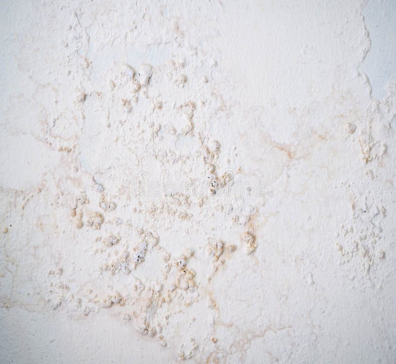 Moldy wall texture stock photo. Image of detail, fungus - 13234486