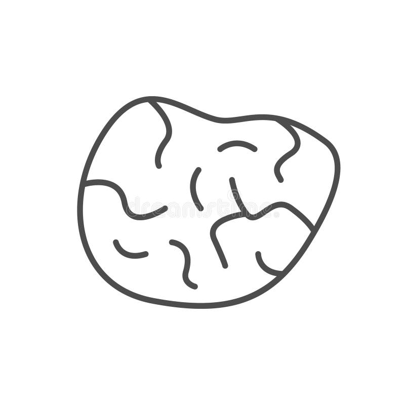 Mole or Birthmark Line Icon Stock Vector - Illustration of malignant ...