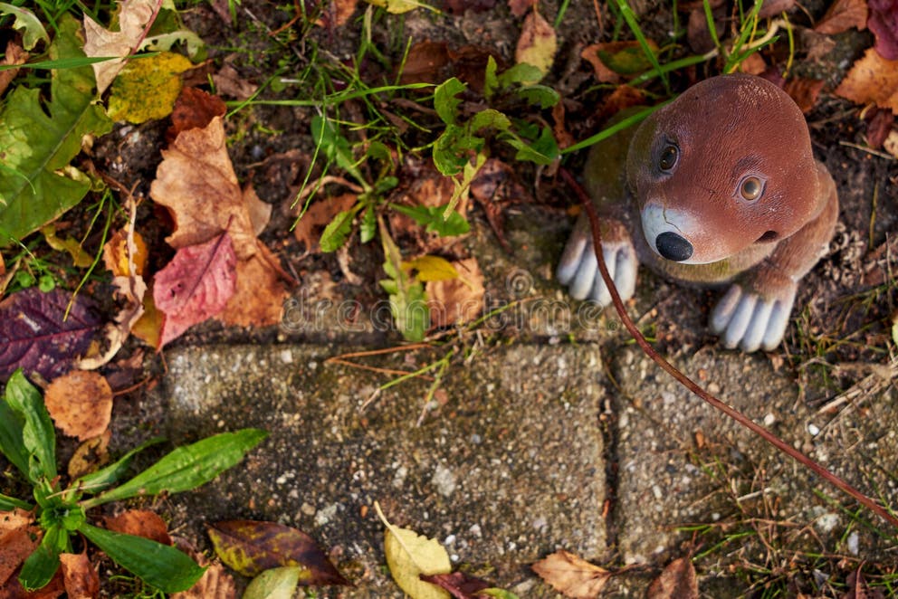 Mole Figure Stands Behind a Path and Looks Upwards Stock Photo - Image ...
