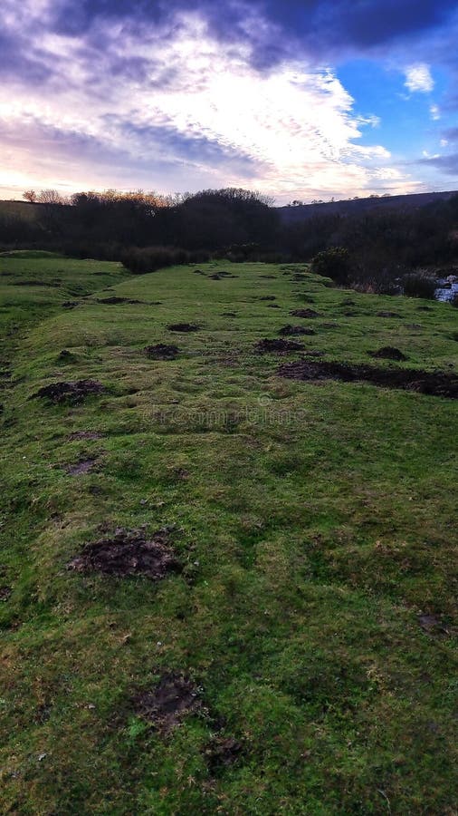 Mole Hills on Moor Land Dartmoor Parque Nacional Devon Uk Imagen de ...