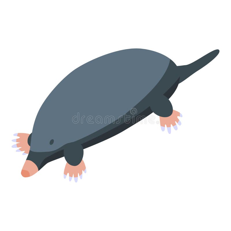 Mole Icon Isometric Vector. Cute Animal Stock Vector - Illustration of ...