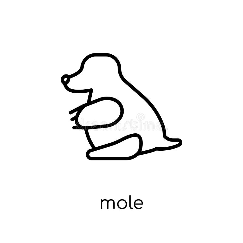 Mole Icon. Trendy Modern Flat Linear Vector Mole Icon on White B Stock ...