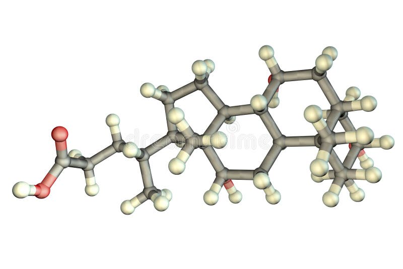 Molecola Di Croato Acido Colico. Componente Principale Di Acido Biliare ...