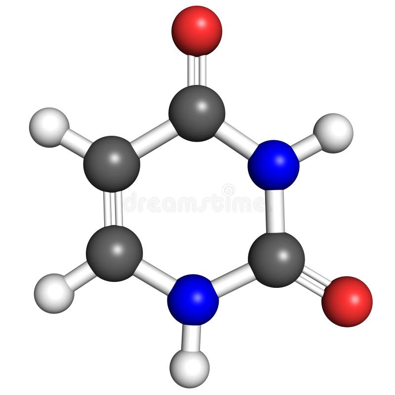 Uracile, U Molecola Di Nucleobase Della Pirimidina Presente in DNA ...