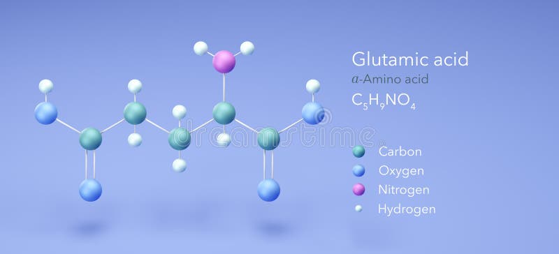 Moleculaire Structuren Van Glutaminezuur Aminozuur 3d Model ...
