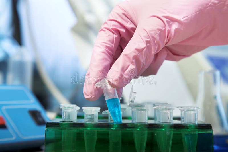 The Process of Offset Printing and Color Correction Stock Photo - Image ...